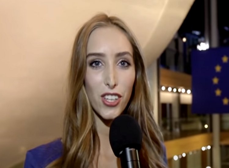 German politician fined and given criminal record for posting that ...