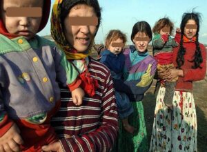 Roma and Travellers outraged and say poverty and social exclusion ...